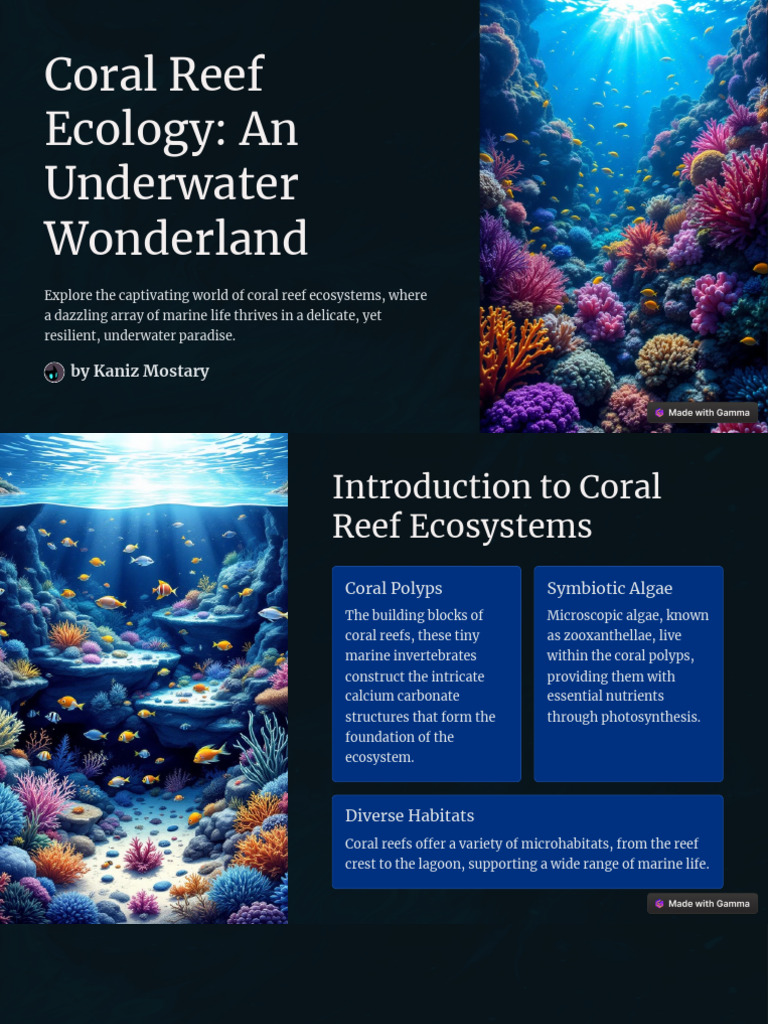 Coral Reef Ecology Overview for Students | PDF | Coral Reef | Coral