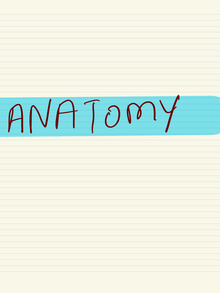 ANATOMY Imp Points Nitesh's Ipad | PDF | Anatomical Terms Of Motion ...