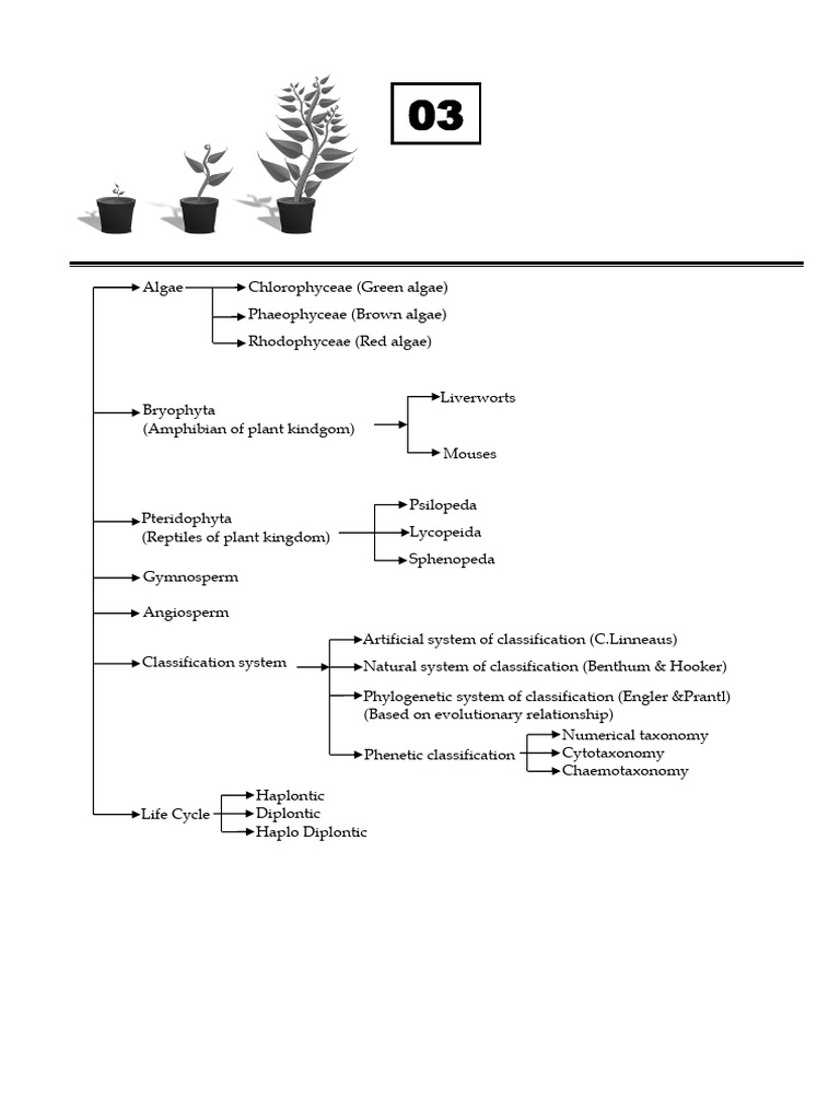 Bryophytes and Plant Classification Overview | PDF | Moss | Spore