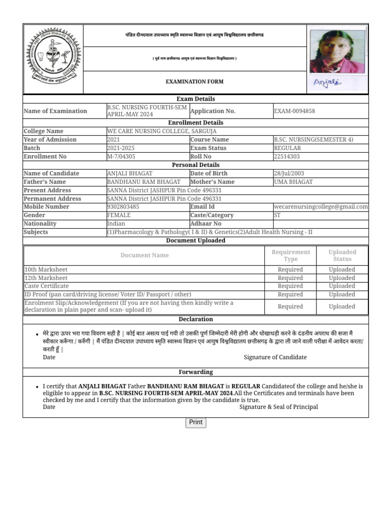 Application Form | PDF | Government And Personhood