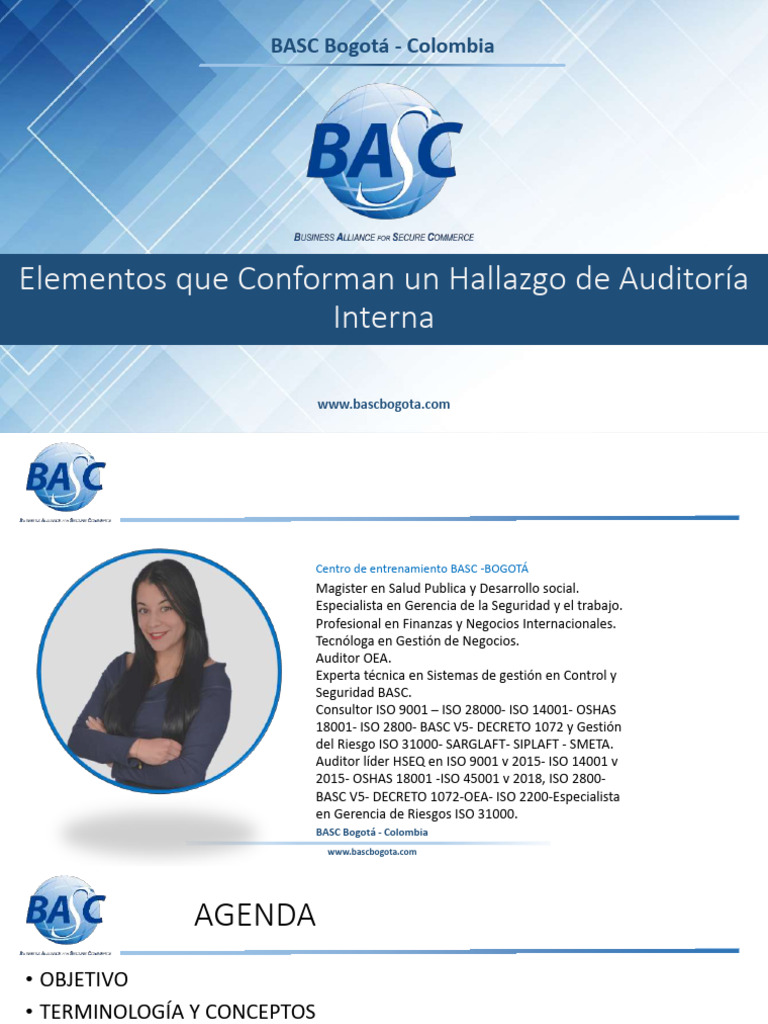 Elementos Que Conforman Un Hallazgo | PDF | Auditoría | Contralor