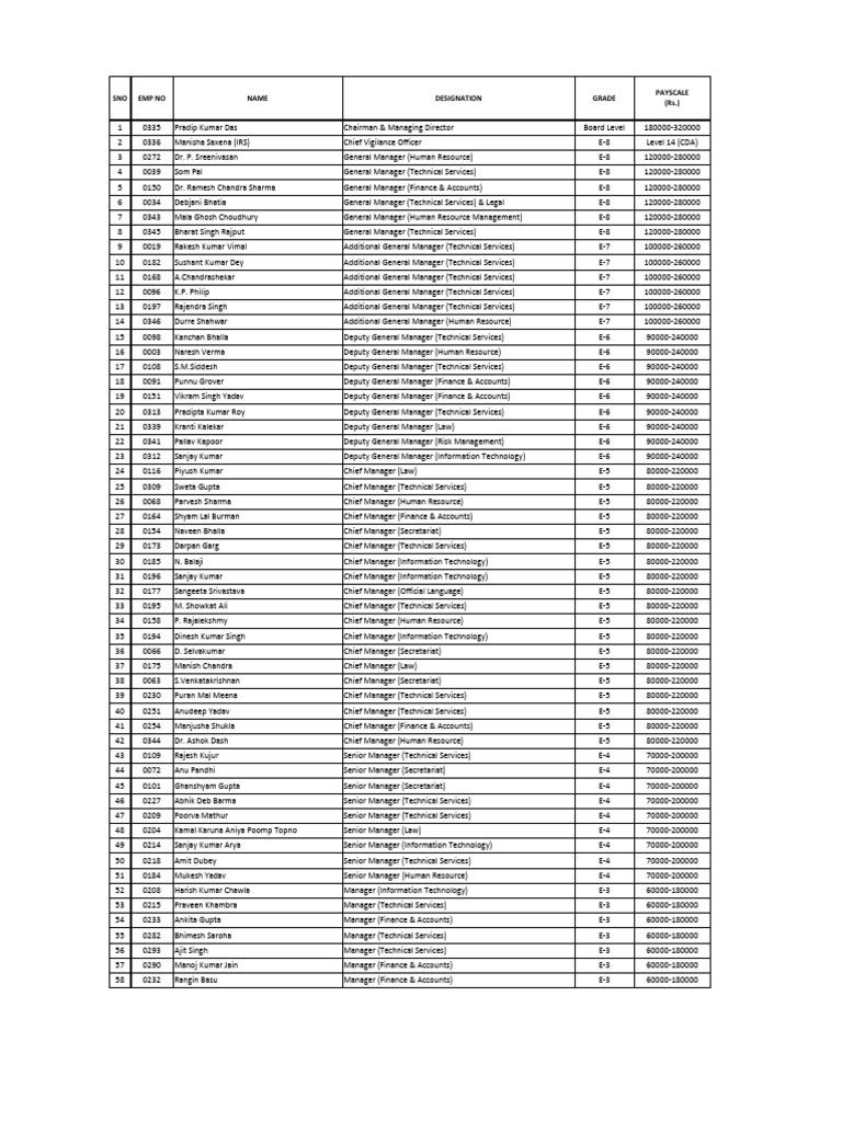 Employee Remuneration List | PDF
