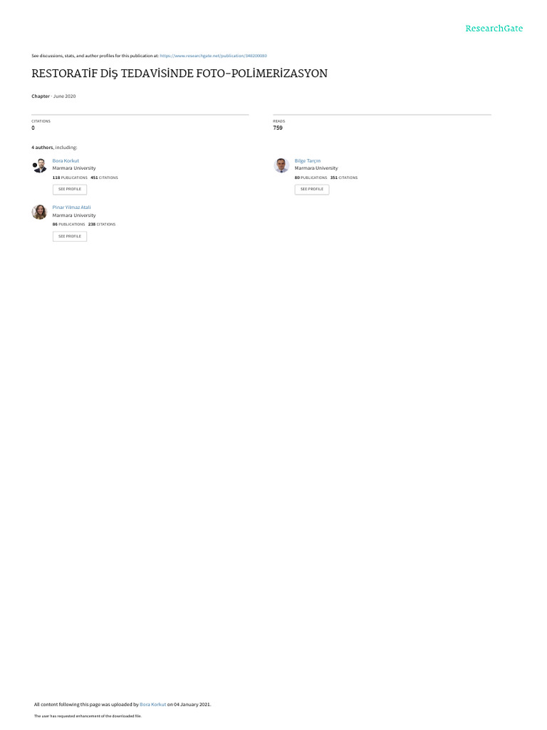 Fotopolimerizasyon BLM | PDF