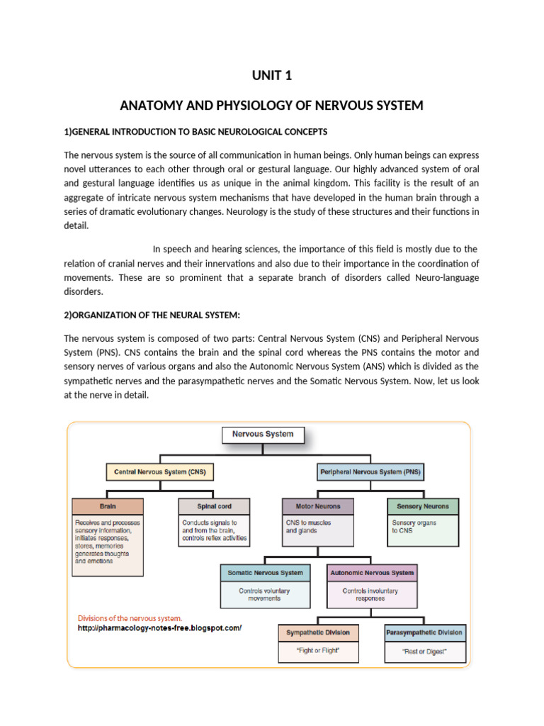UNIT 1 neuro | PDF | Myelin | Autonomic Nervous System