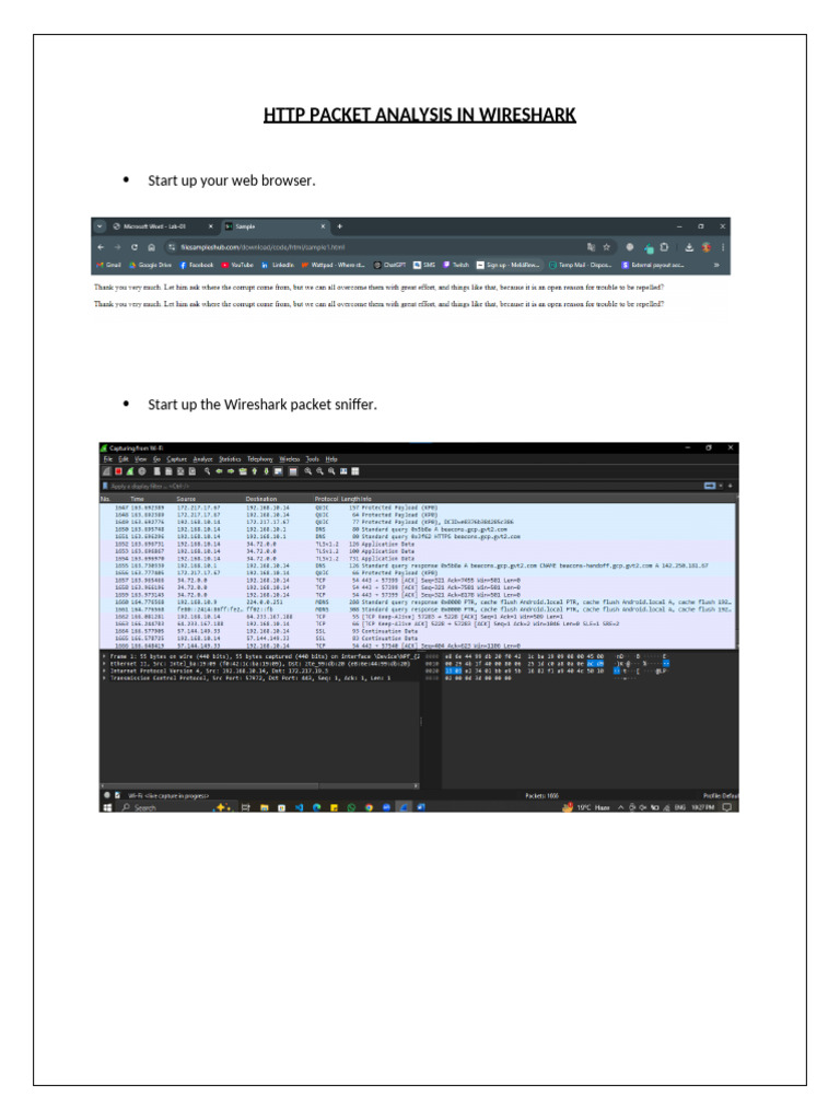 lab 01 solution | PDF | Networking | Internet & Web