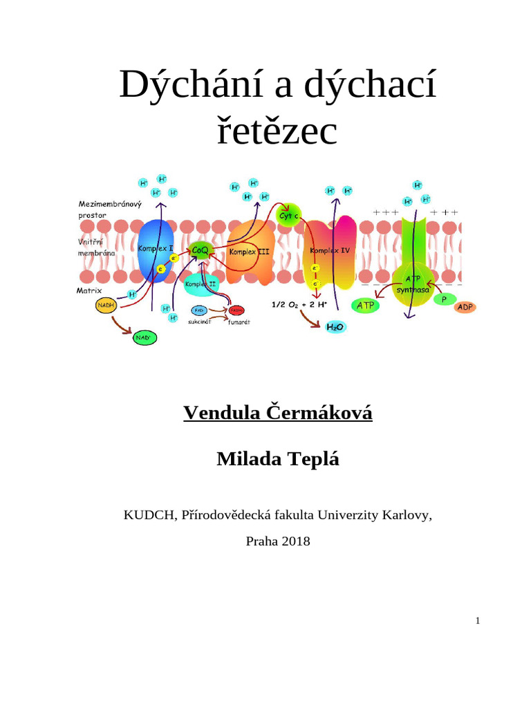Dychaci Retezec | PDF