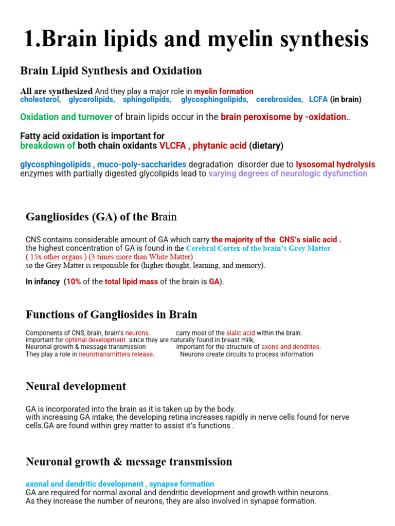 Bio CNS Brain Lipids and Myelin Sythesis & Neurotrasmitters and ...
