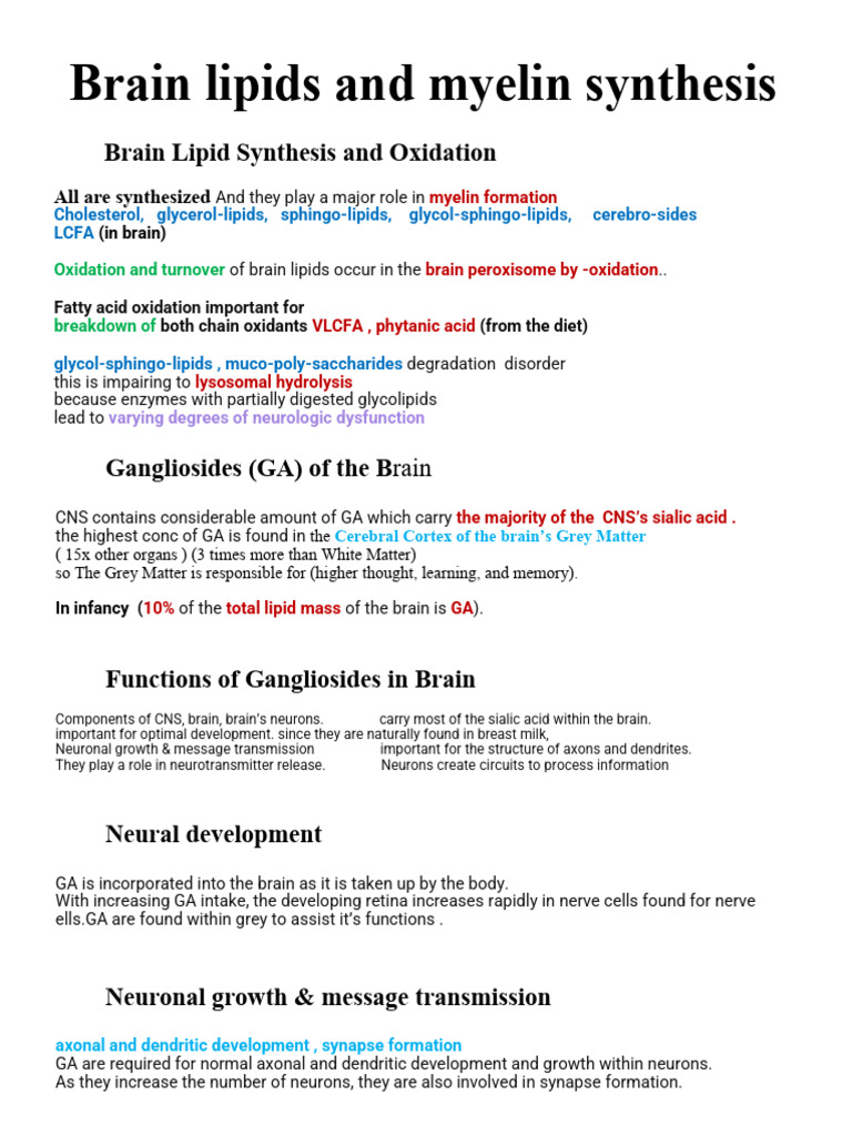 Brain Lipids and Myelin Synthesis | PDF | Myelin | Axon