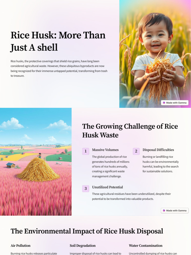 Rice-Husk-More-Than-Just-A-shell (1) | PDF | Biofuel | Waste Management