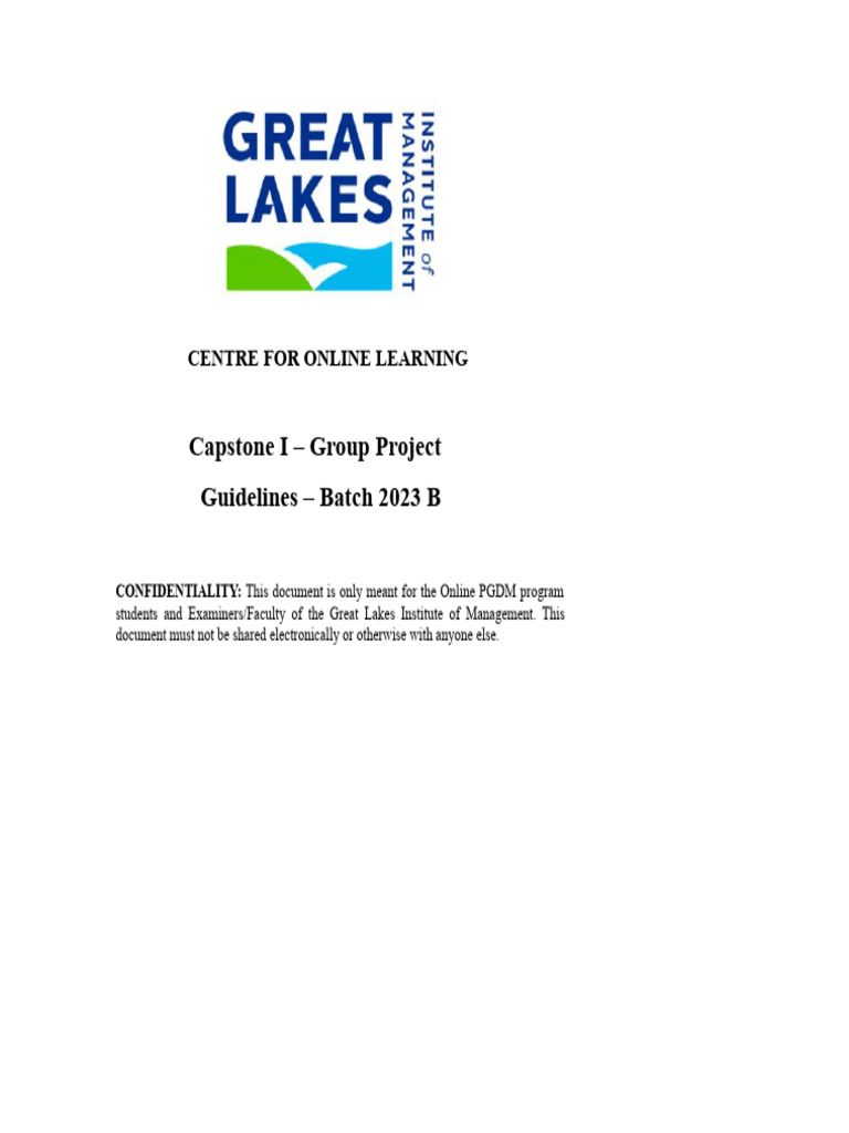 Capstone Project - Interim Report Guidelines | PDF | Swot Analysis | Business Model
