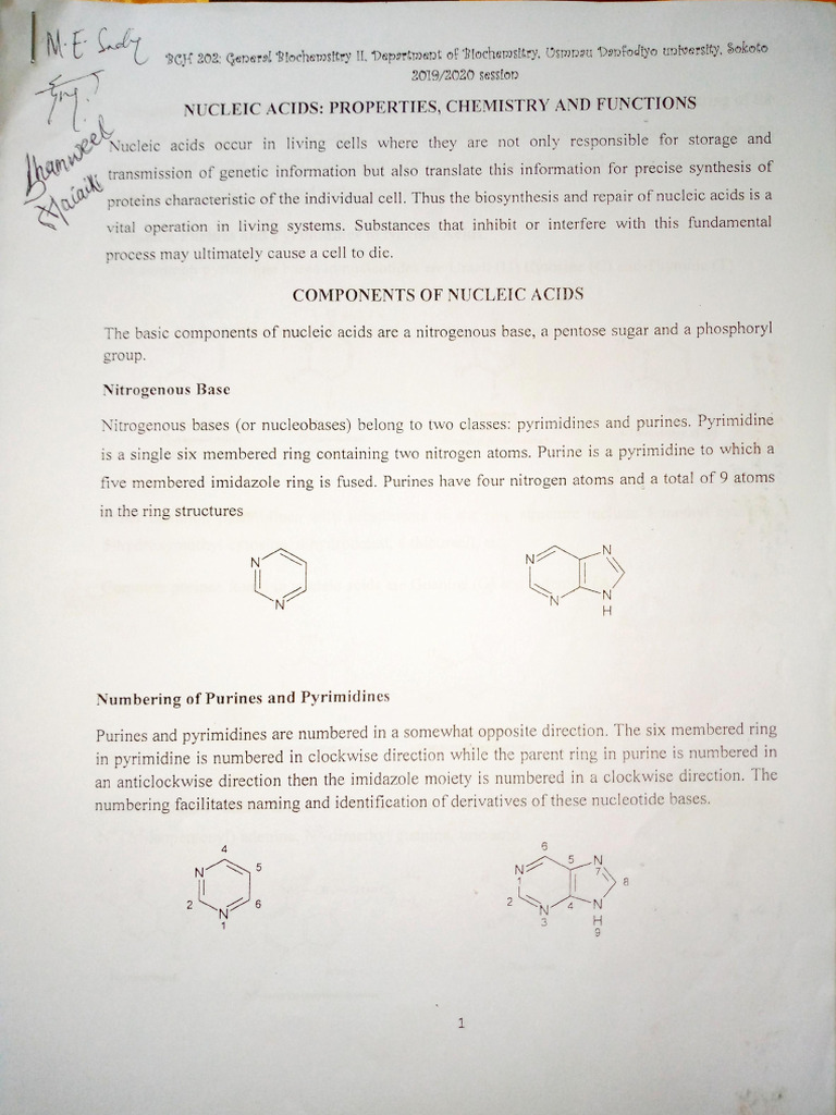 BCH 202 - Nucleic Acids | PDF