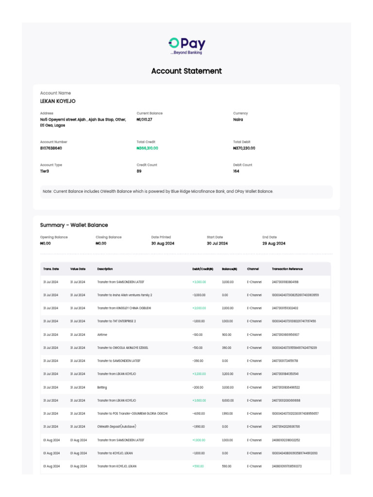 Account Statement Summary for Lekan Koyejo | PDF | Debits And Credits ...