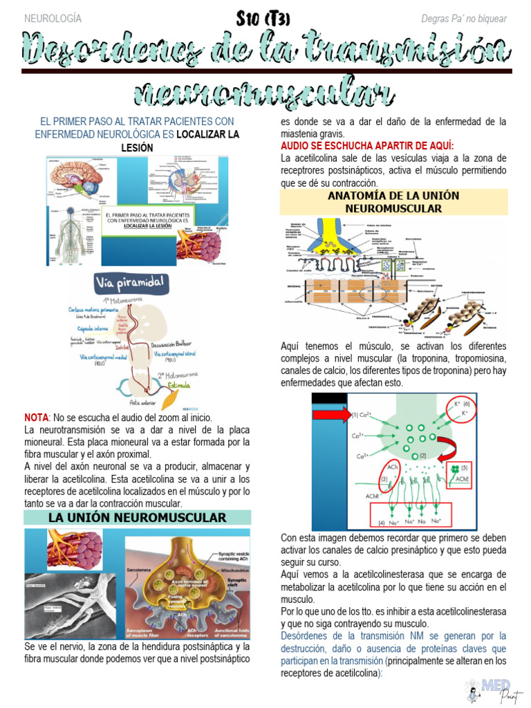 S9 - Desórdenes de La Transmisión Neuromuscular | PDF | Unión ...
