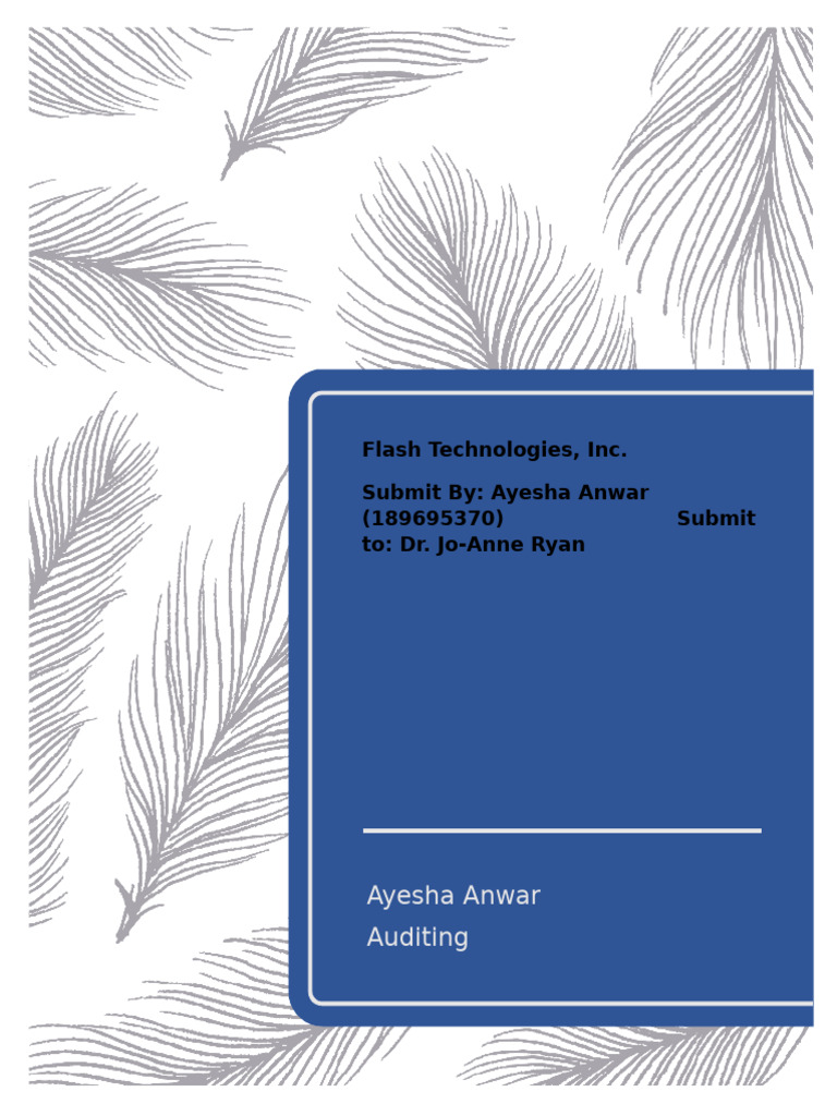 Flash_Technologies__Inc. | PDF | Revenue | Risk
