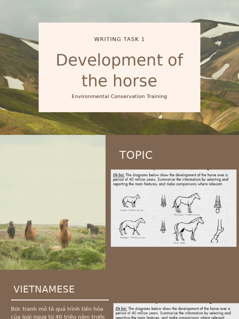 Development of The Horse | PDF