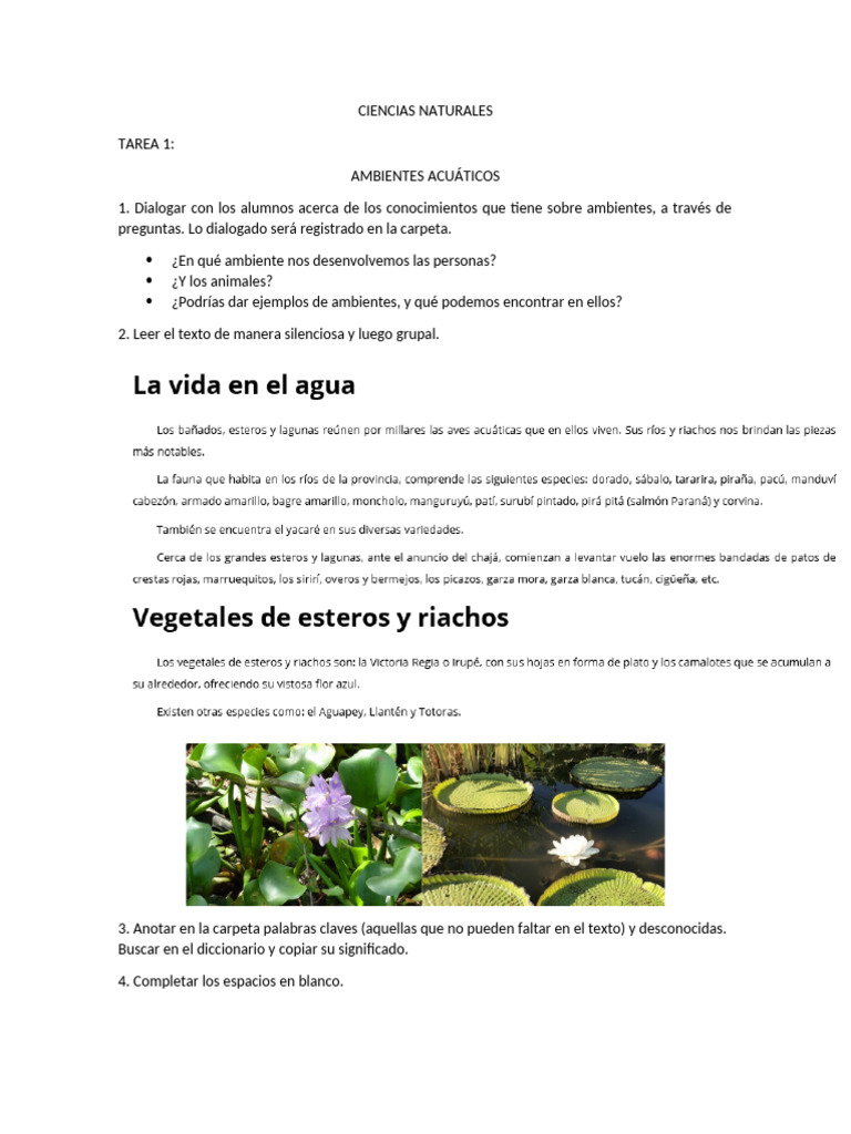 Planif 8 | PDF | Estudios de idiomas extranjeros