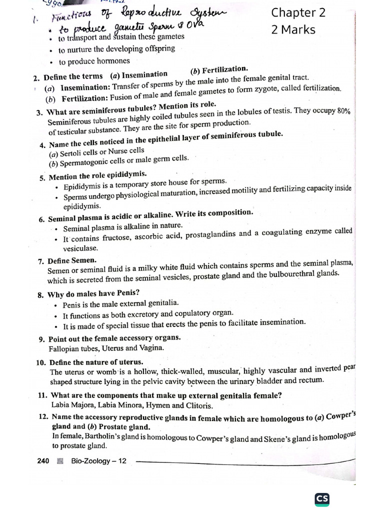 Computer science study | PDF