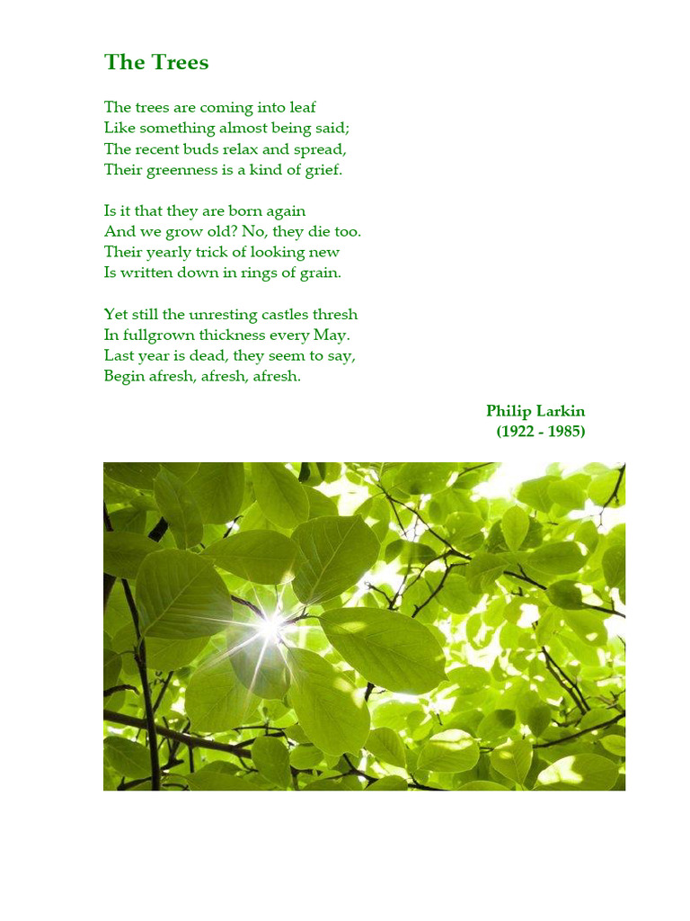 The Trees: A Poem by Philip Larkin | PDF