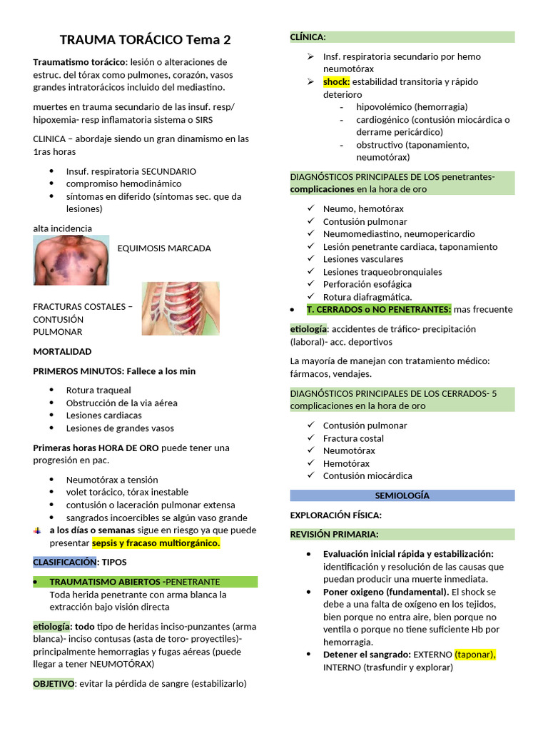 Tipos de Trauma Torácico | PDF | Pulmón | Enfermedades y trastornos humanos