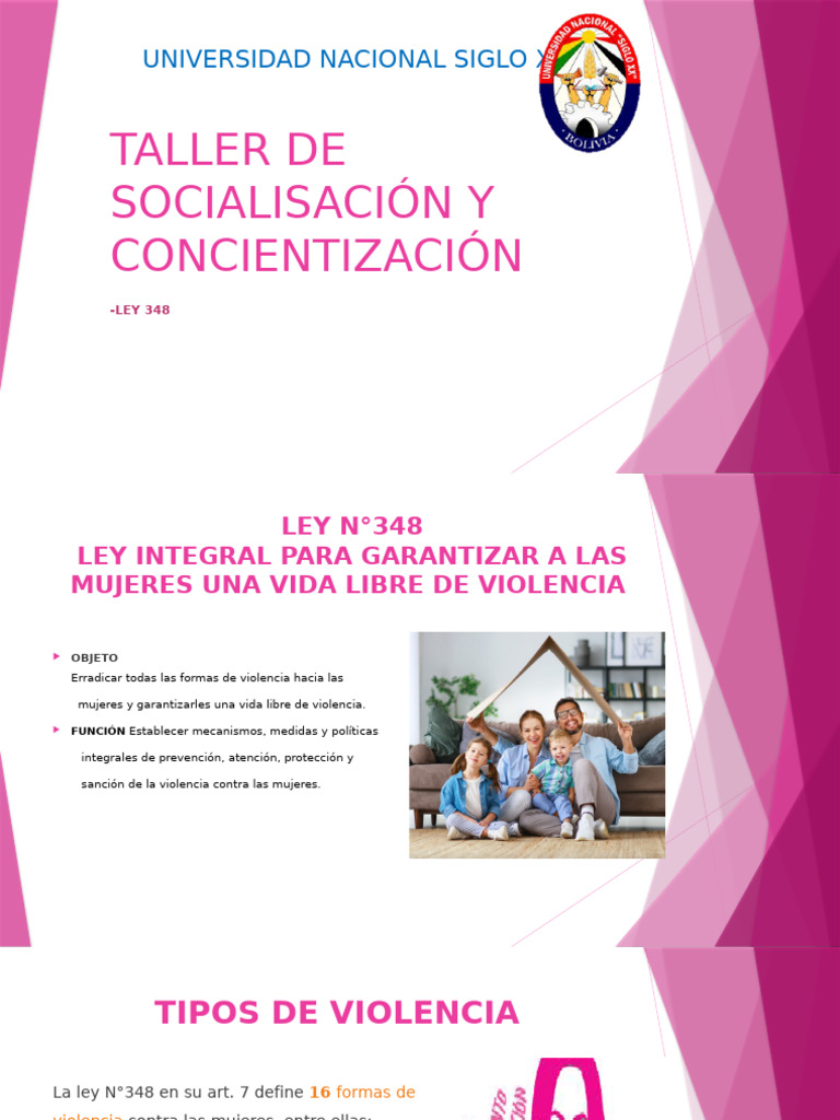 DIAPOSITIVAS DE LA LEY N° 348 | PDF