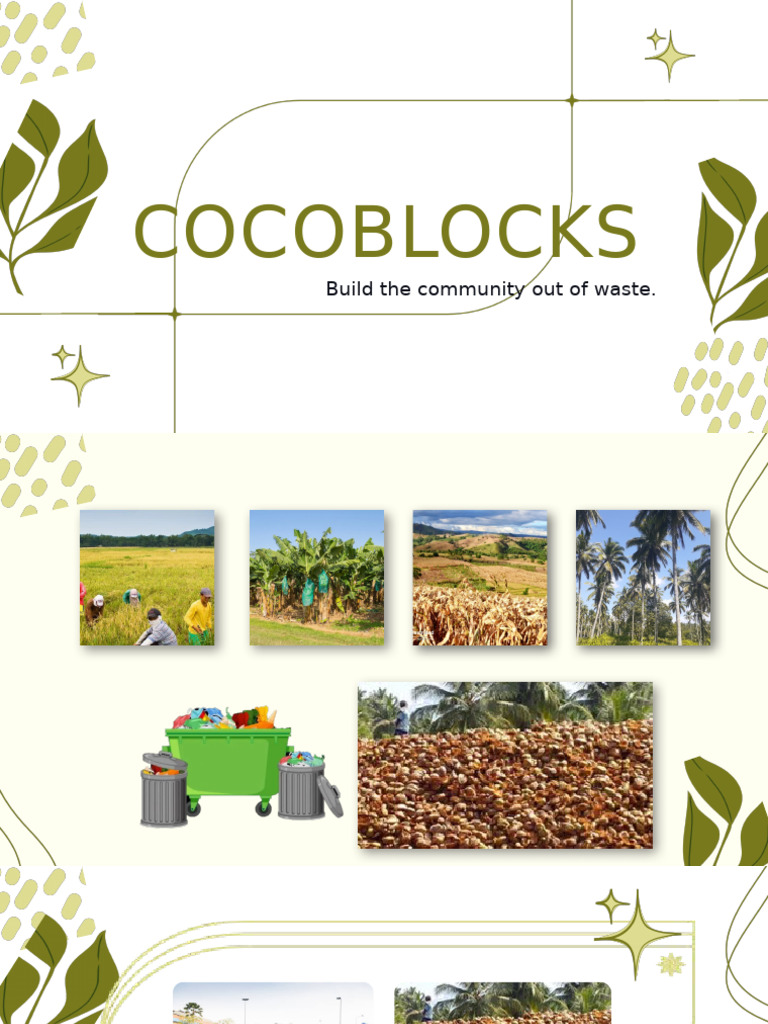 MKT102 COCONOVA Gg2 | PDF | Coconut