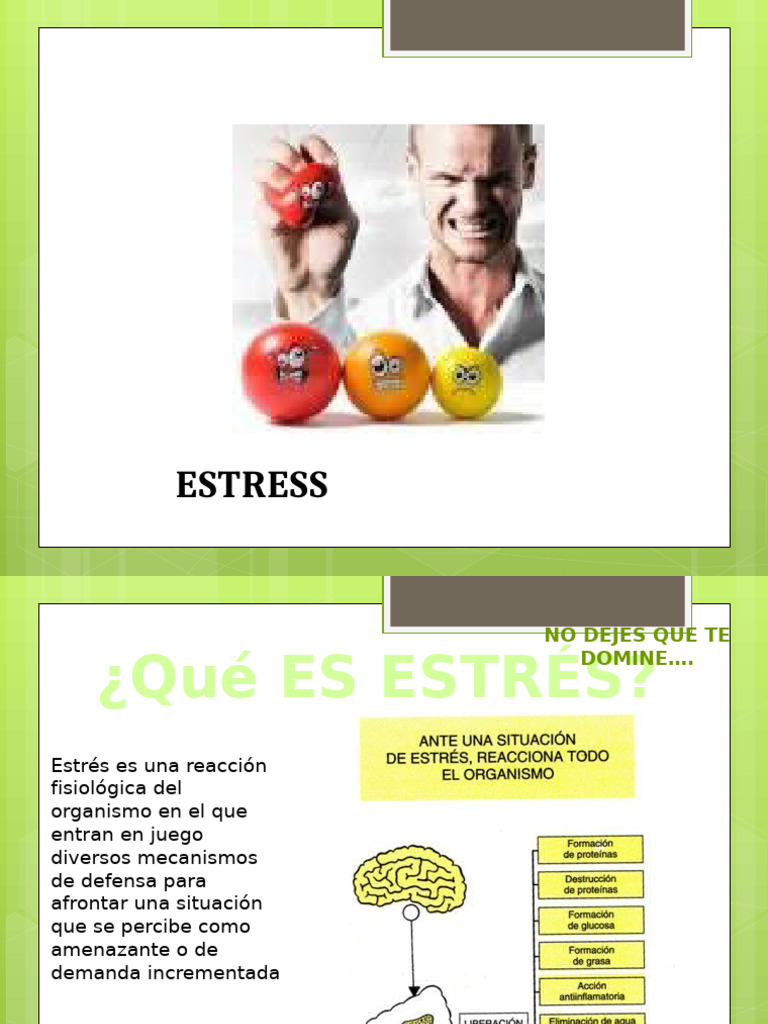 Estress | PDF