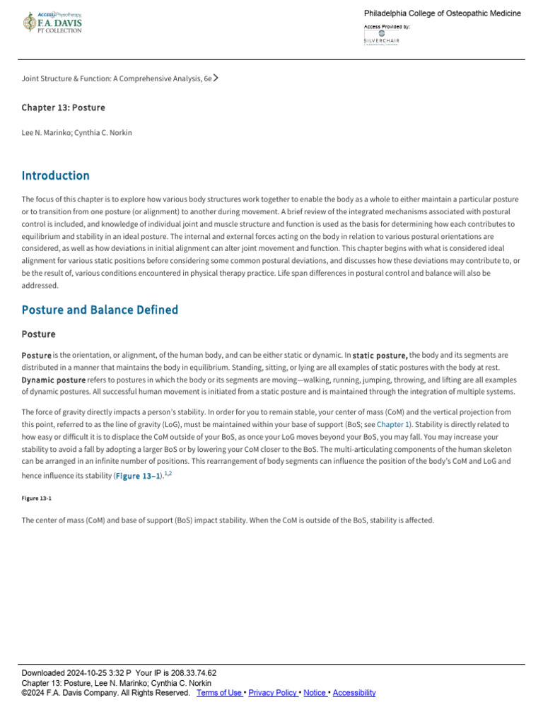 Chapter 13_ Posture | PDF | Balance (Ability) | Force