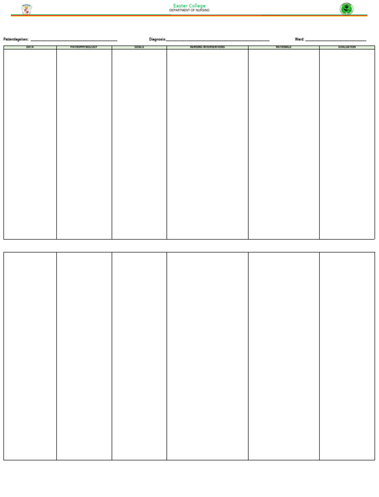 NCP Blank Format | PDF