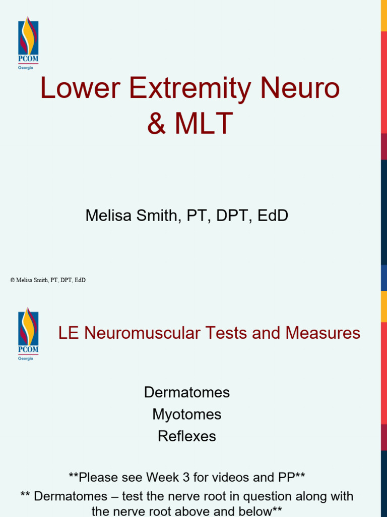 LE Neuro and MLT PP 2024 | PDF | Anatomical Terms Of Motion | Knee