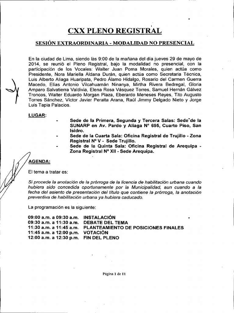 CXX Pleno TR Sunarp | PDF