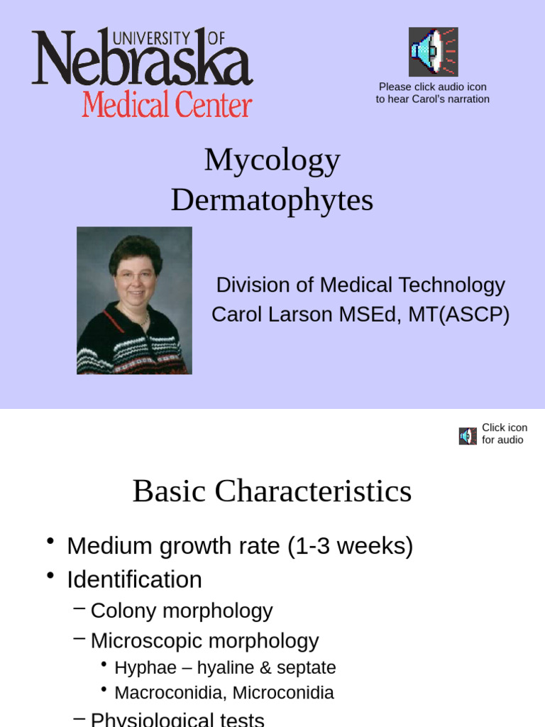 Dermatophytes | PDF | Microbiology | Fungus