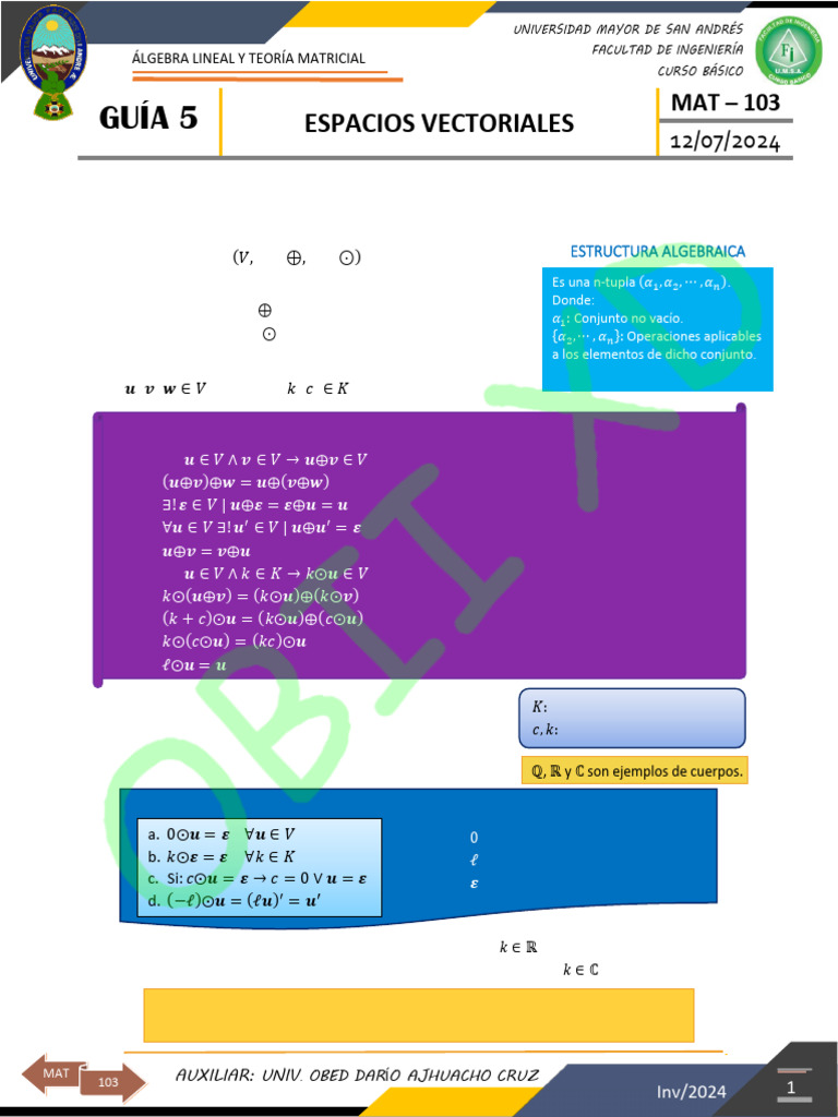 MAT 103 - GUÍA 5 _ Inv-2024 | PDF | Subespacio lineal | Espacio vectorial