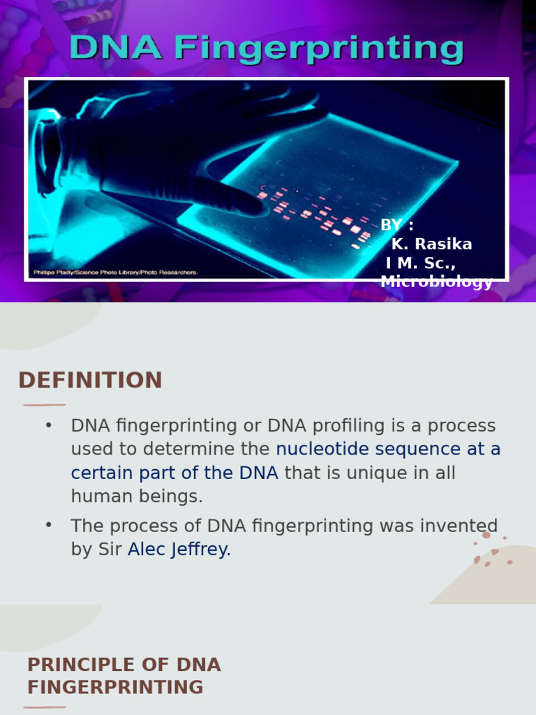 DNA Fingerprinting Techniques Explained | PDF | Polymerase Chain ...