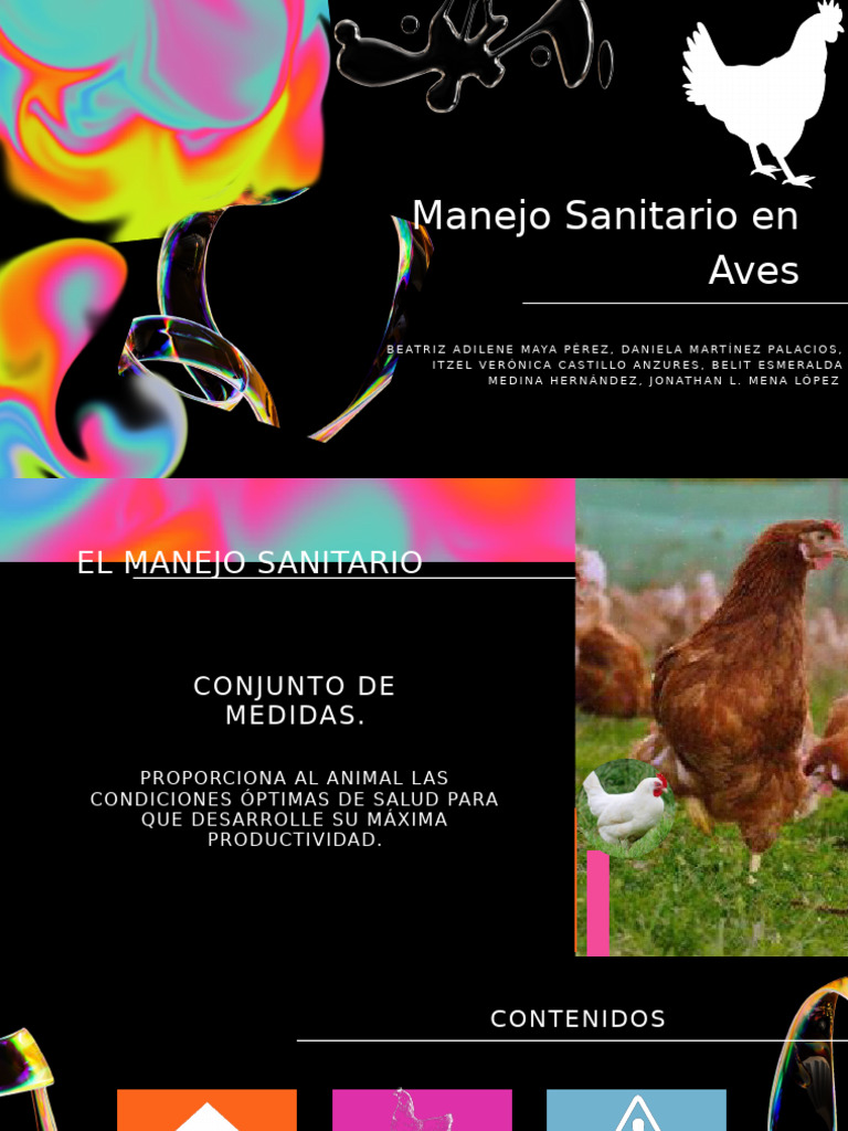 Manejo Sanitario en Aves | PDF | Pollo | Aves