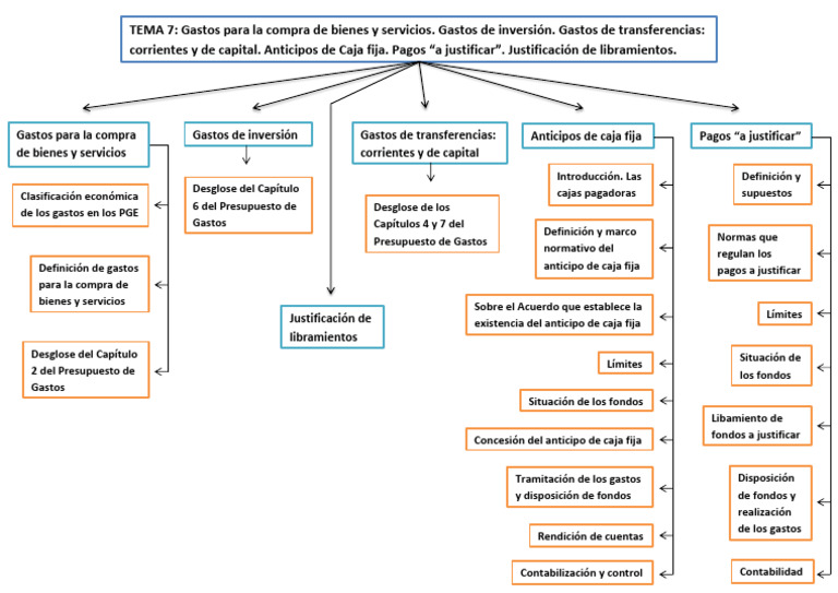 Esquema Tema 7 | PDF | Presupuesto | Inversiones