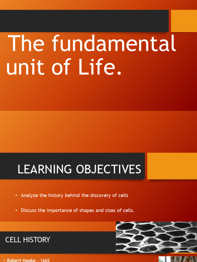 NOTEBOOK WORK - CELL the Fundamental Unit of Life | PDF | Cell (Biology) | Osmosis