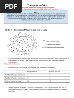 Transport in Cells POGIL | PDF | Science & Mathematics