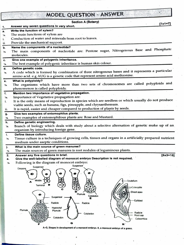 Biology Solution Book | PDF | Photosynthesis | Plant Stem