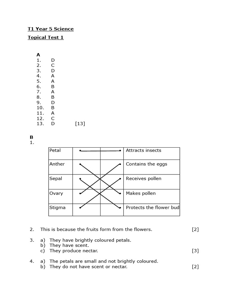 Year 5 Science Test Answers | PDF | Career & Growth