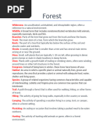 KS2 Descriptive-Setting Word Mat Forest | PDF