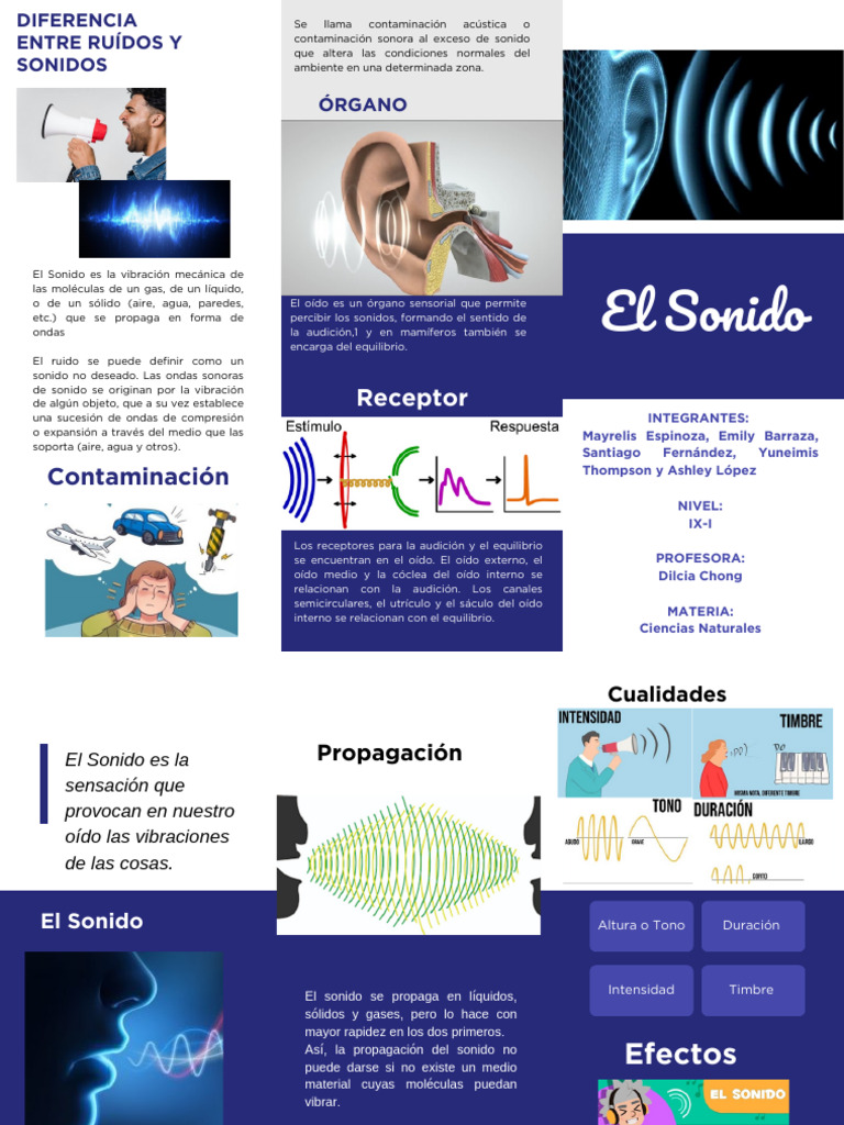 El Sonido | PDF | Sonido | Oído