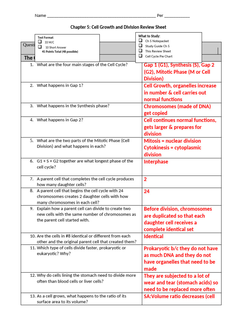 Cell Cycle and Mitosis Review Sheet | PDF | Mitosis | Cell Cycle