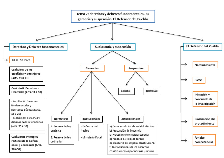 Esquema Tema 2 | PDF | Derechos | Ley Pública