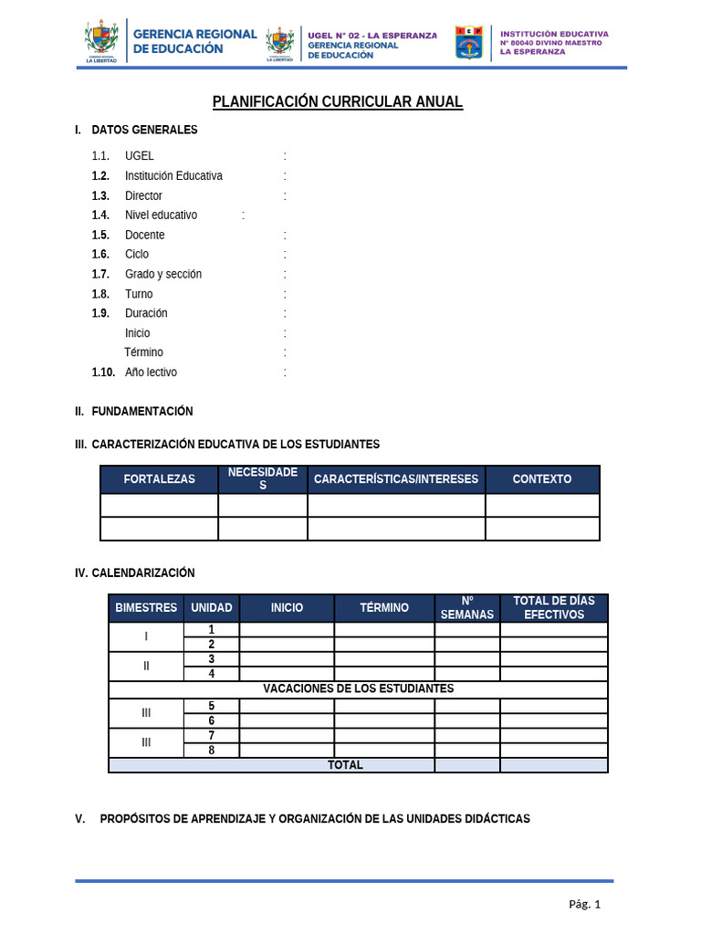Planificaciòn Curricular Anual | PDF | Aprendizaje | Planificación