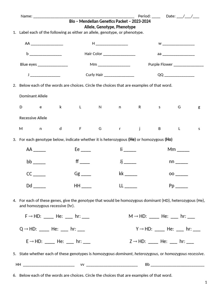 Bio - Mendelian Genetics Packet - 2023-2024 Allele, Genotype, Phenotype | PDF | Dominance ...