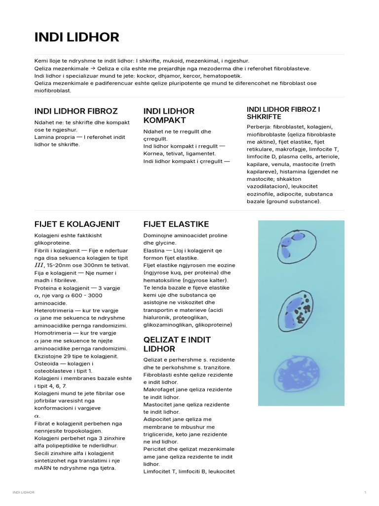 Indi Lidhor Eroni | PDF