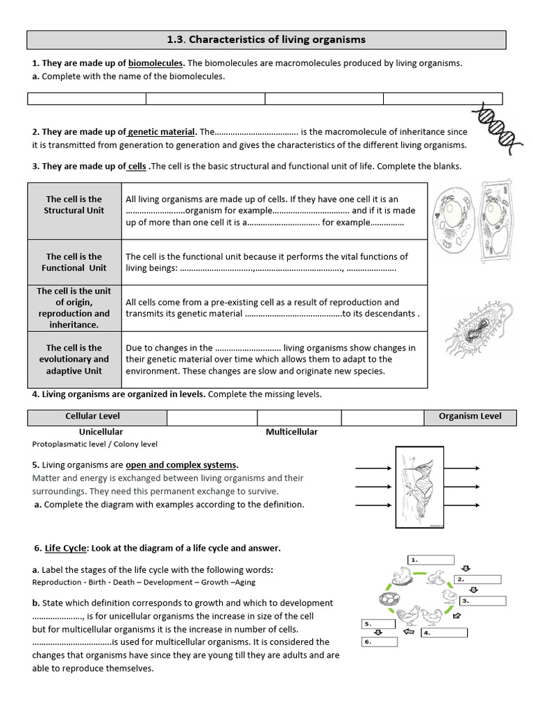 1.3 Characteristics Living Organisms 1ºguía | PDF | Sexual Reproduction ...