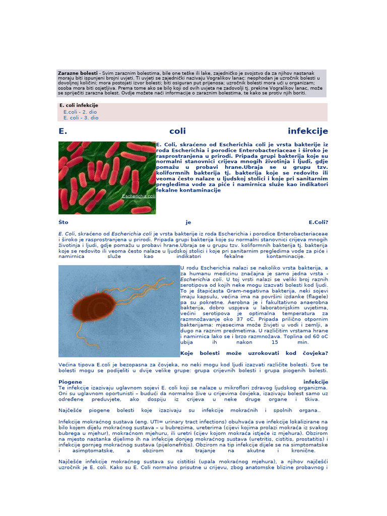 E Coli | PDF