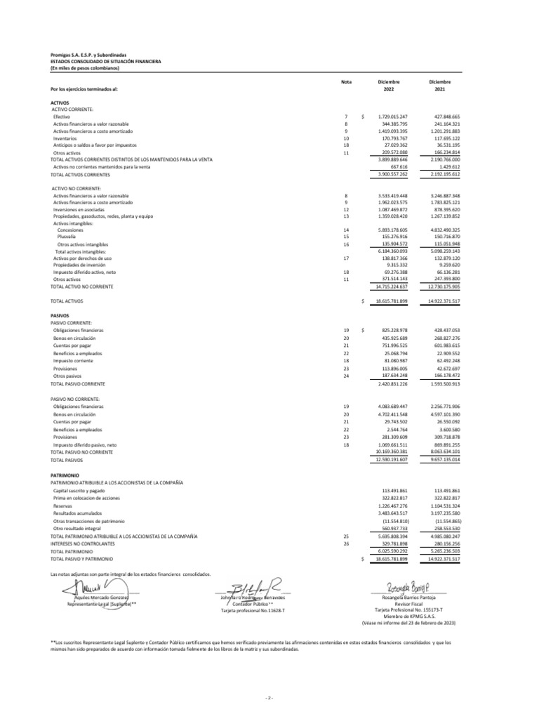 Promigas Eeff 2022 | PDF | Activo intangible | Activo fijo