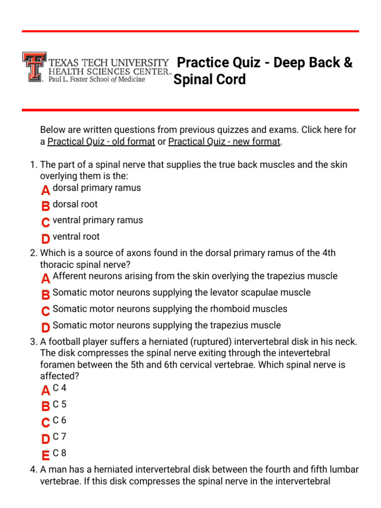 Practice Quiz - Deep Back and Spinal Cord | PDF | Vertebral Column ...